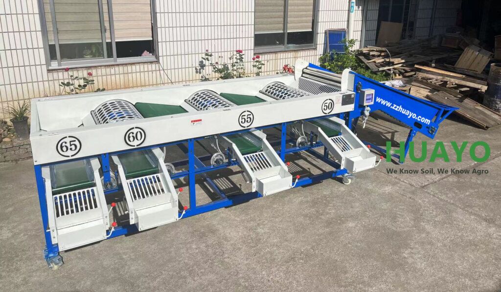 Garlic Bulb Grading Machine - HUAYO AGRO MACHINE