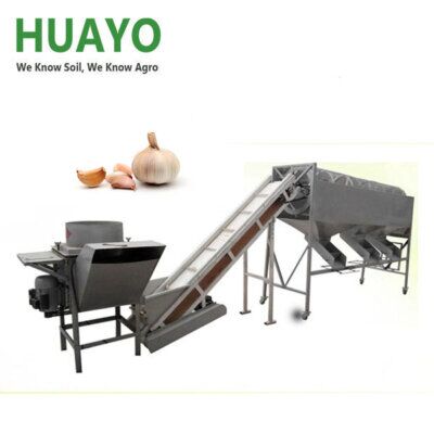 Automatic Garlic Splitting and Sorting Machine - HUAYO AGRO MACHINE