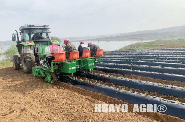 HYZSP-2S Sweet Potato Transplant Machine - HUAYO AGRO MACHINE