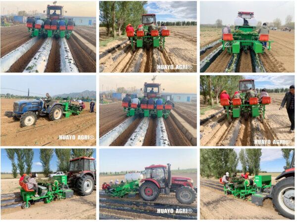HYZSP-2S Sweet Potato Transplant Machine - HUAYO AGRO MACHINE