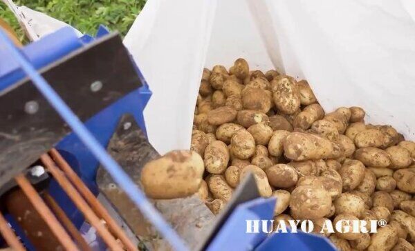 Potato Harvest Machine with Bag loader - HUAYO AGRO MACHINE