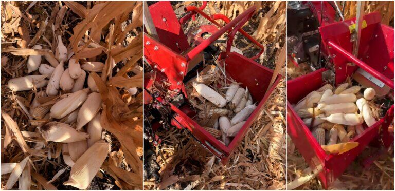 Single Row Corn Harvester - HUAYO AGRO MACHINE